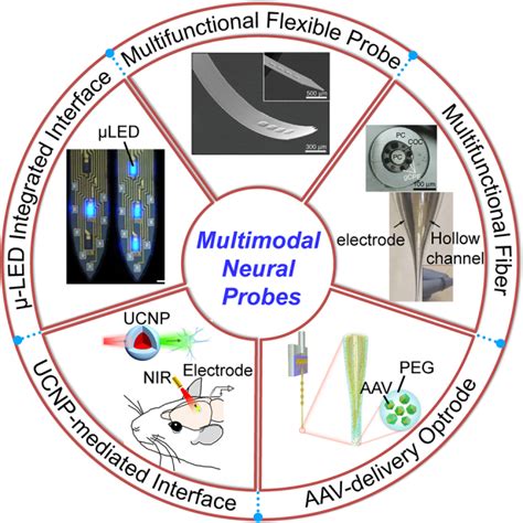 Multimodal Neural Probes For Combined Optogenetics And Electrophysiology Pmc
