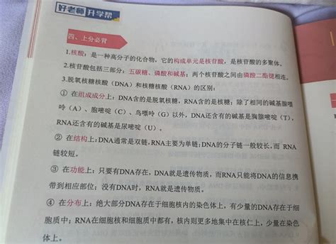 核糖和脱氧核糖的区别，你知道吗？