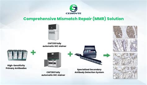 Comprehensive Mismatch Repair Mmr Solution Celnovte Biotechnology