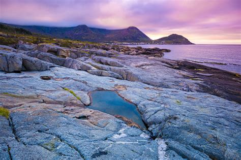 피 요 르 드 매직 핑크 블루 석양 바위 해변 야생 자연 노르웨이 황혼 섬입니다 아름 다운 베이입니다 아름 다운 일몰 0명에 대한 스톡 사진 및 기타 이미지 Istock