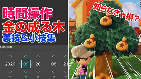 【あつ森 裏技】時間操作？金の木？知らなきゃ損する小技＆裏技集 あつまれどうぶつの森【どう森】 Youtube