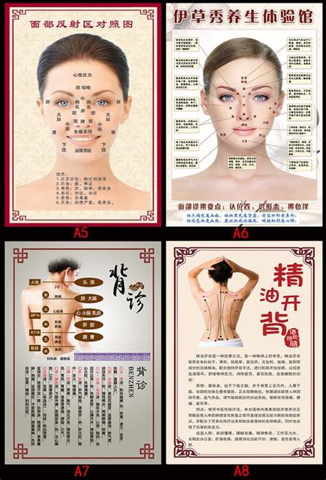 脸部经络图位置清晰图配图网