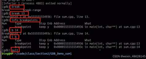 Gdb调试器 Csdn博客