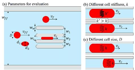 The Parameters For Deformability Evaluation A The Cell Size And Download Scientific Diagram