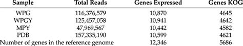 Summary Of The Rnaseq Experiments The Number Of Expressed Genes And