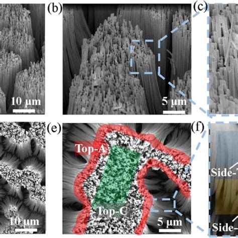 Md Simulations Of Droplet Nucleation On The Horizontal Nanowires Download Scientific Diagram