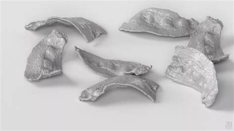 Bacon 3d Model Zb Vision