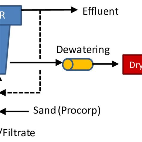 Generic Process Schematic Download Scientific Diagram