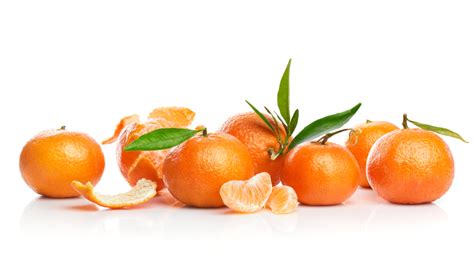 Do You Know About The Sooty Mold Problem Of Citrus