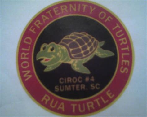 Rua Turtle Ybysaia