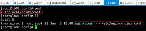 linux 部署Nginx服务 编译安装方式 且步骤完整 tslam 博客园