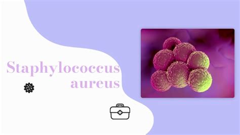 Staphylococcus Aureus Genially