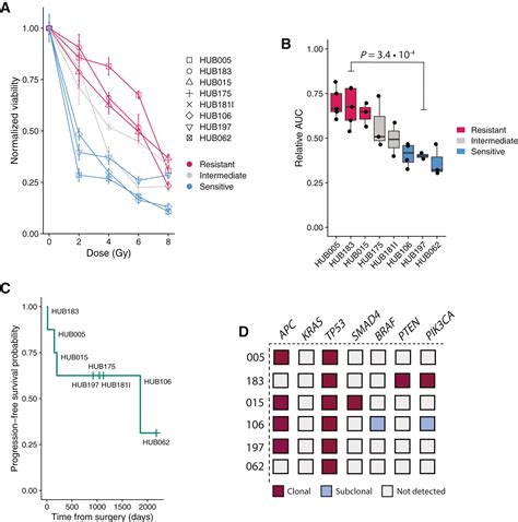 Pre Existing Subclones Determine Radioresistance In Rectal Cancer