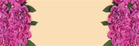 베이지 색 배경에 모란 꽃 질감과 녹색 잎으로 만든 프레임 배너 0명에 대한 스톡 사진 및 기타 이미지 0명 3월 가리기 Istock