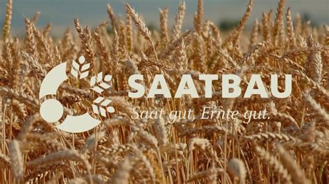 ხორბლის მინდვრის დღე 2017 Youtube