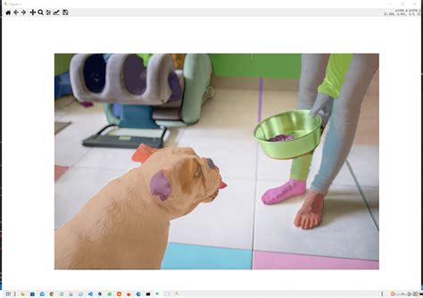 geogebra观察分析泰勒级数