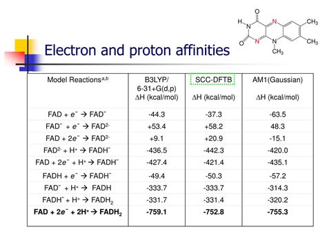 PPT Calculation Of Reduction Potential Of FAD In MCAD Using Combined DFTB MM Simulations