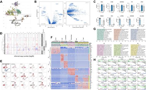 Analysis And Visualization Using The Omics Playground Of Public Data
