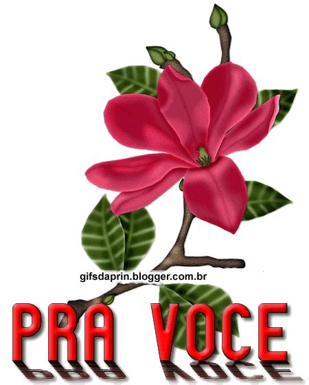 Canto Da Tia Quel Mensagens Do Dia Para Refletir