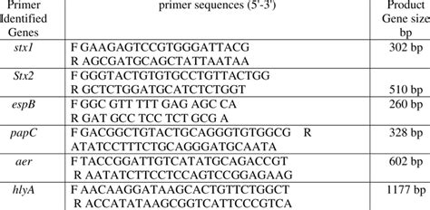 Primers Used For Detection Of E Coli Toxin Genes Download Scientific Diagram