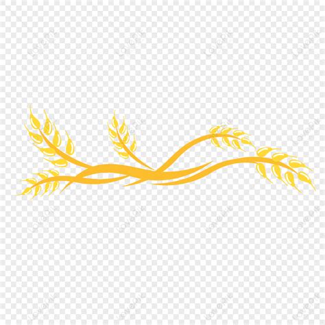 Agriculture Wheat Vector Presentation Growth Texture Rice Banner
