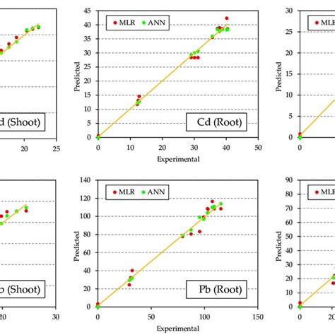 Design Of The Artificial Neural Network Depicting Different Neurons And