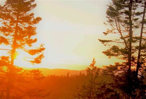 The Celtic Heritage Of Litha Blinter Magazine