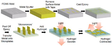 A Schematic Of Micromirror Array Fabrication By Metal Deposition And