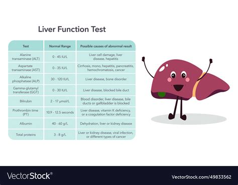 Liver Function Test Royalty Free Vector Image Vectorstock
