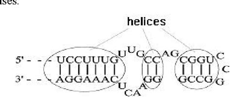 figure 1 from an efficient algorithm based on hopfield neural network for rna secondary