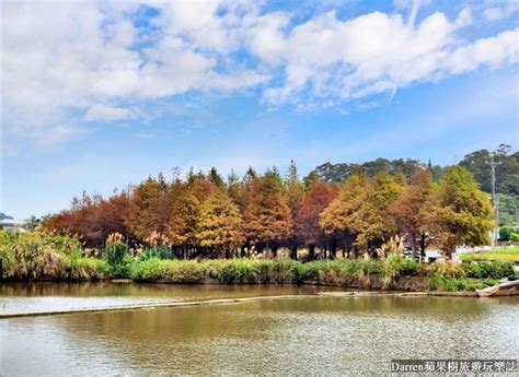 好拍又不用人擠人桃園蘆竹山鼻落羽松秘境曝光 取景超方便 ETtoday旅遊雲 ETtoday新聞雲