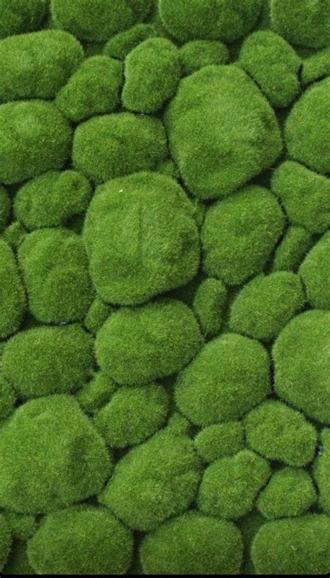 Green Moss Patterns In Nature