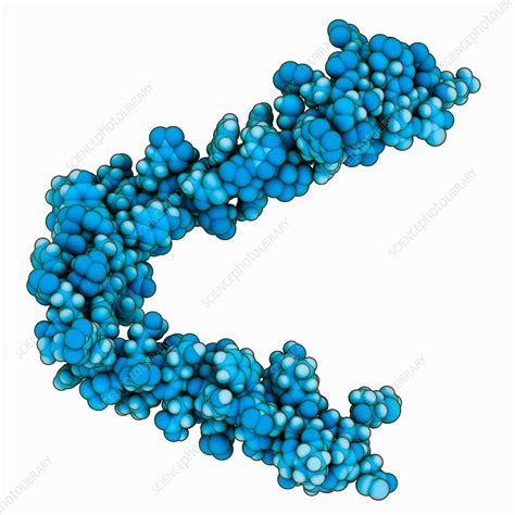 Hiv 1 Regulatory Protein Vpr Stock Image C0358024 Science Photo