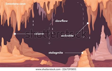 Stalagmite Infographic Stalagmites Formations Natural Stalactite Stock