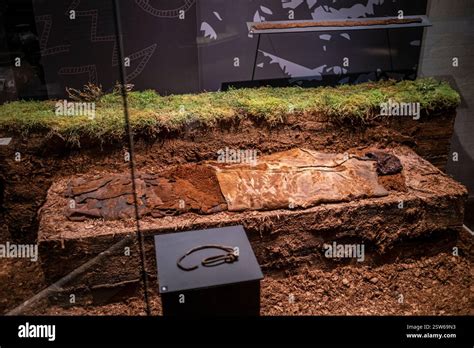 The Remains Of Elling Woman An Iron Age Bog Body Preserved At The