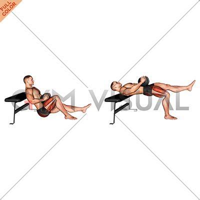 Single Leg Hip Thrust Form