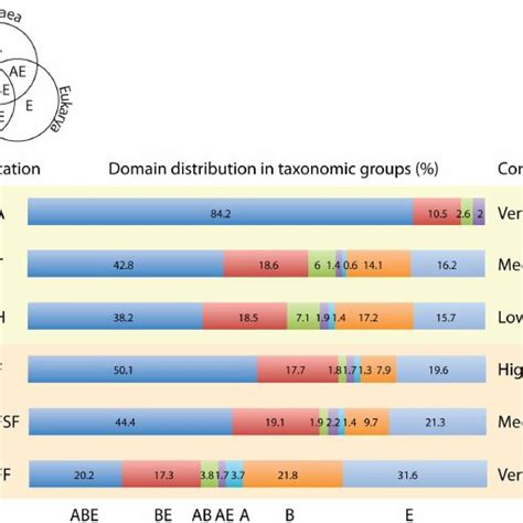 Hierarchy Of The Cath Structural Classification System Compared To