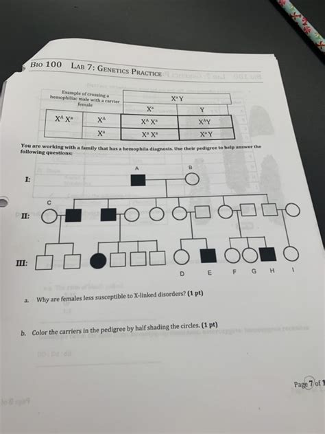 Solved Bio 100 LAB 7 GENETICS PRACTICE Example Of Crossing Chegg Com