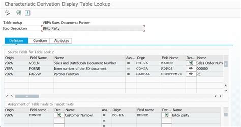 Sap Fico Corner How To Add Sd Partner Functions As Characteristics In