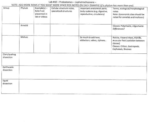 Solved Lab 10 Protostomes Lophotrochozoans Nqte Add More Rows If Yqu Want More Space For