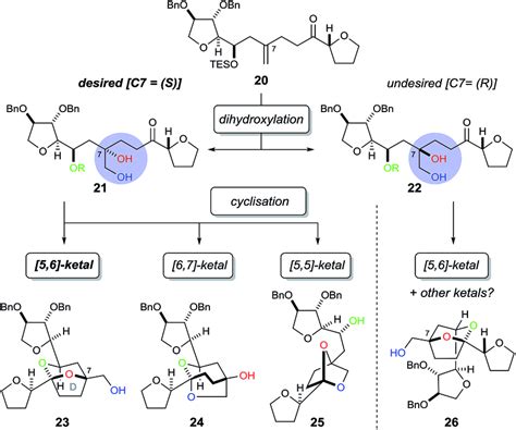 Possible Bicyclic Ketal Structures Arising From Diols 21 And 22 Download Scientific Diagram