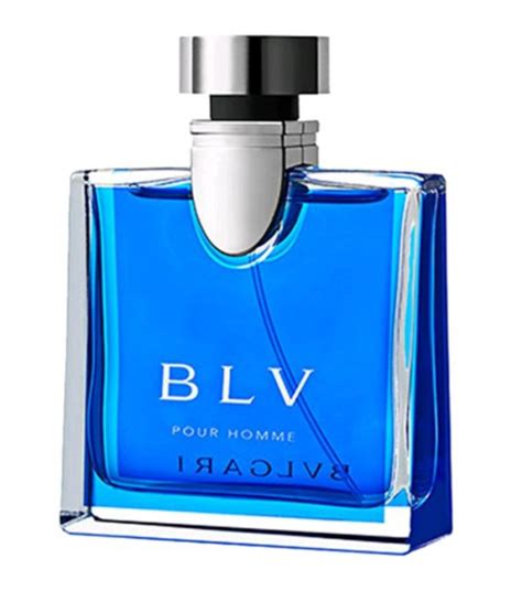 네이버 인플루언서