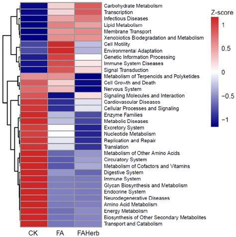 Heatmap For Second Level L2 Metabolic Pathways Of Gut Microbiota In