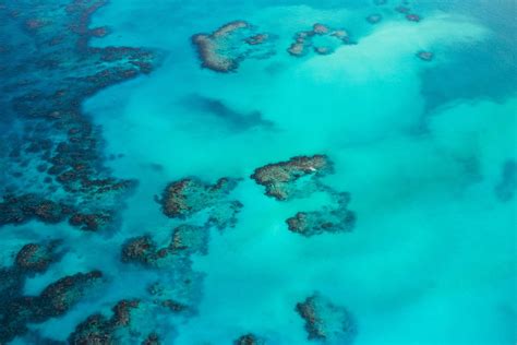 Static And Dynamic Reservoir Modelling Project Opc