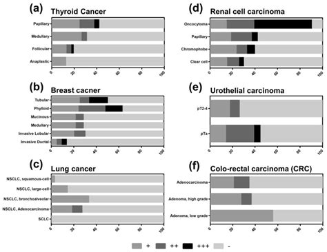Differential Expression Of Thioredoxin Interacting Protein Txnip In Download Scientific