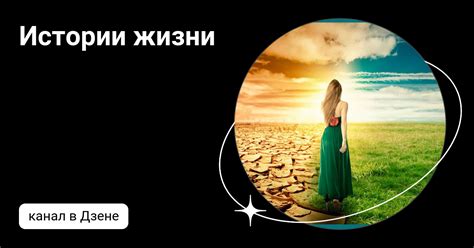 Истории жизни Дзен