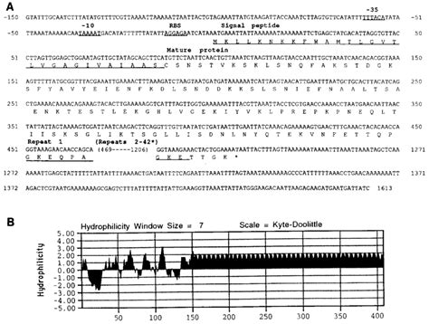 Nucleotide And Amino Acid Sequence Analysis A Nucleotide And Deduced Download Scientific