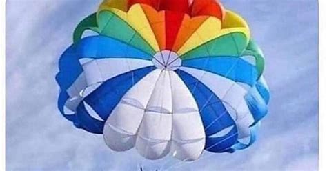 Weeeee Album On Imgur