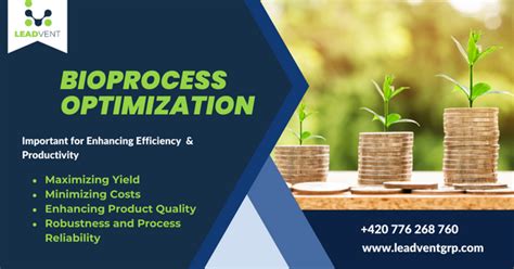 How Bioprocess Optimization Is Important For Enhancing Efficiency And