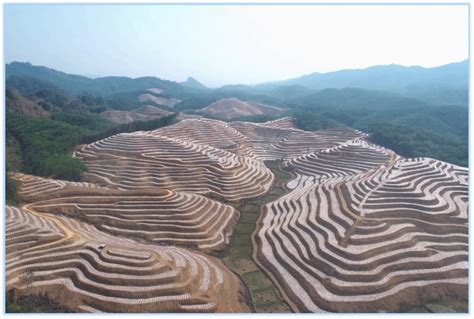 西双版纳州勐腊县关累镇勐远村曼纳龙土地整治项目土地平整顺利完成 新闻动态 云南建投集团